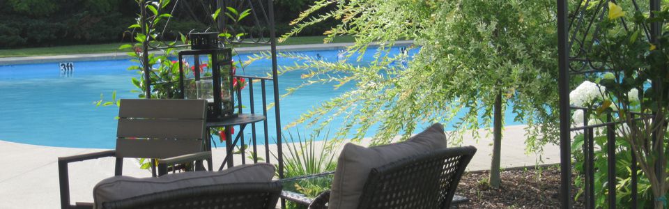 Guest Ranch Getaway! – Texas Longhorn Ranch